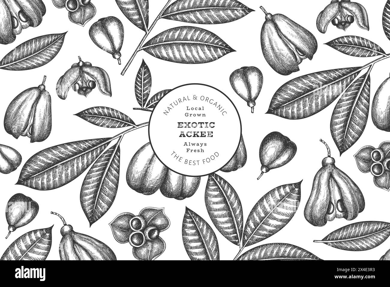 Aki design Stock Vector Images - Alamy