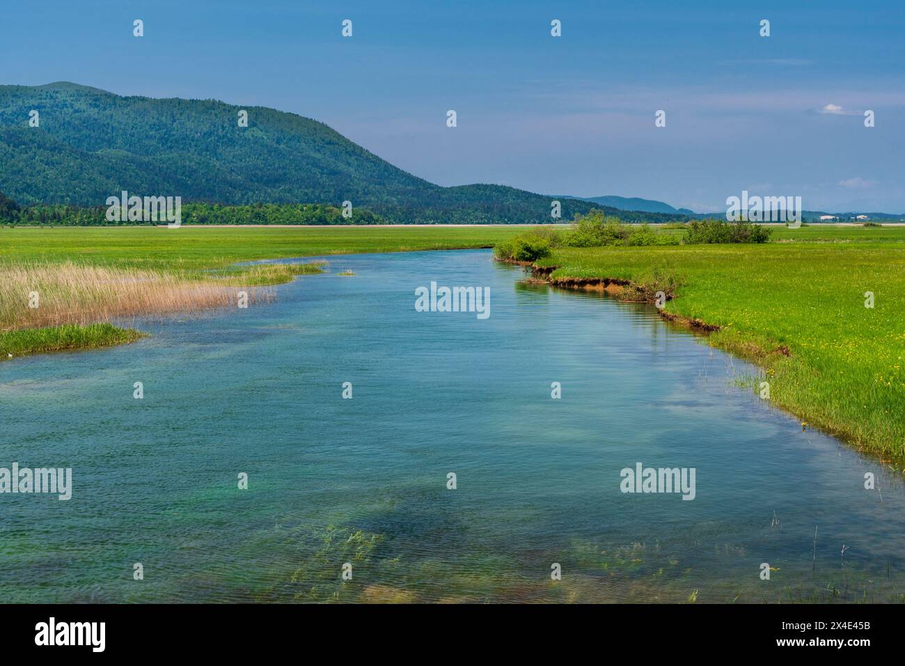 A view of the Lake Cerknica, an intermittent lake in the southern part ...