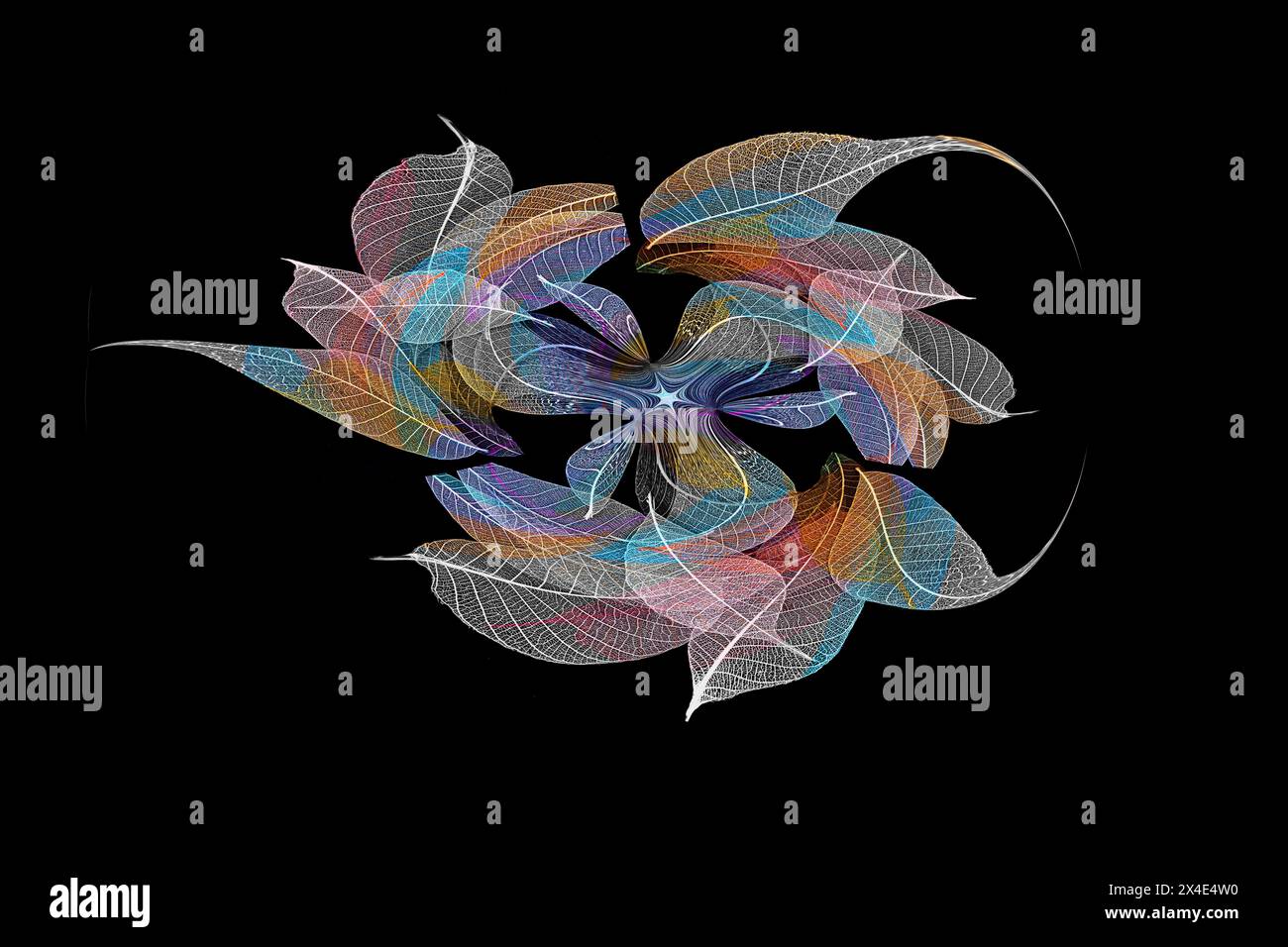 Skeleton leaves background hi-res stock photography and images - Alamy