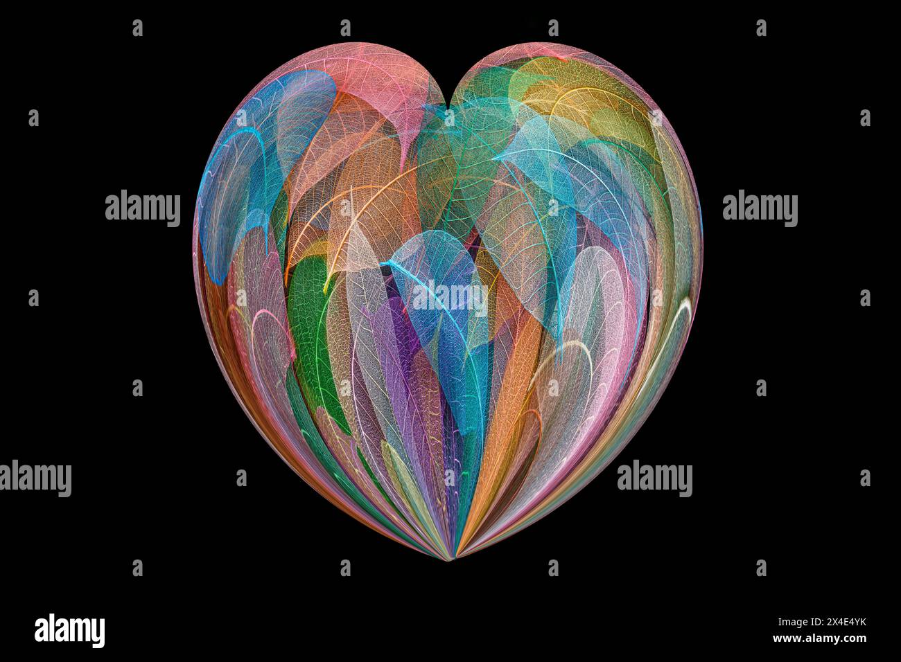 Multi-colored skeleton leaves arranged on black background Stock Photo ...