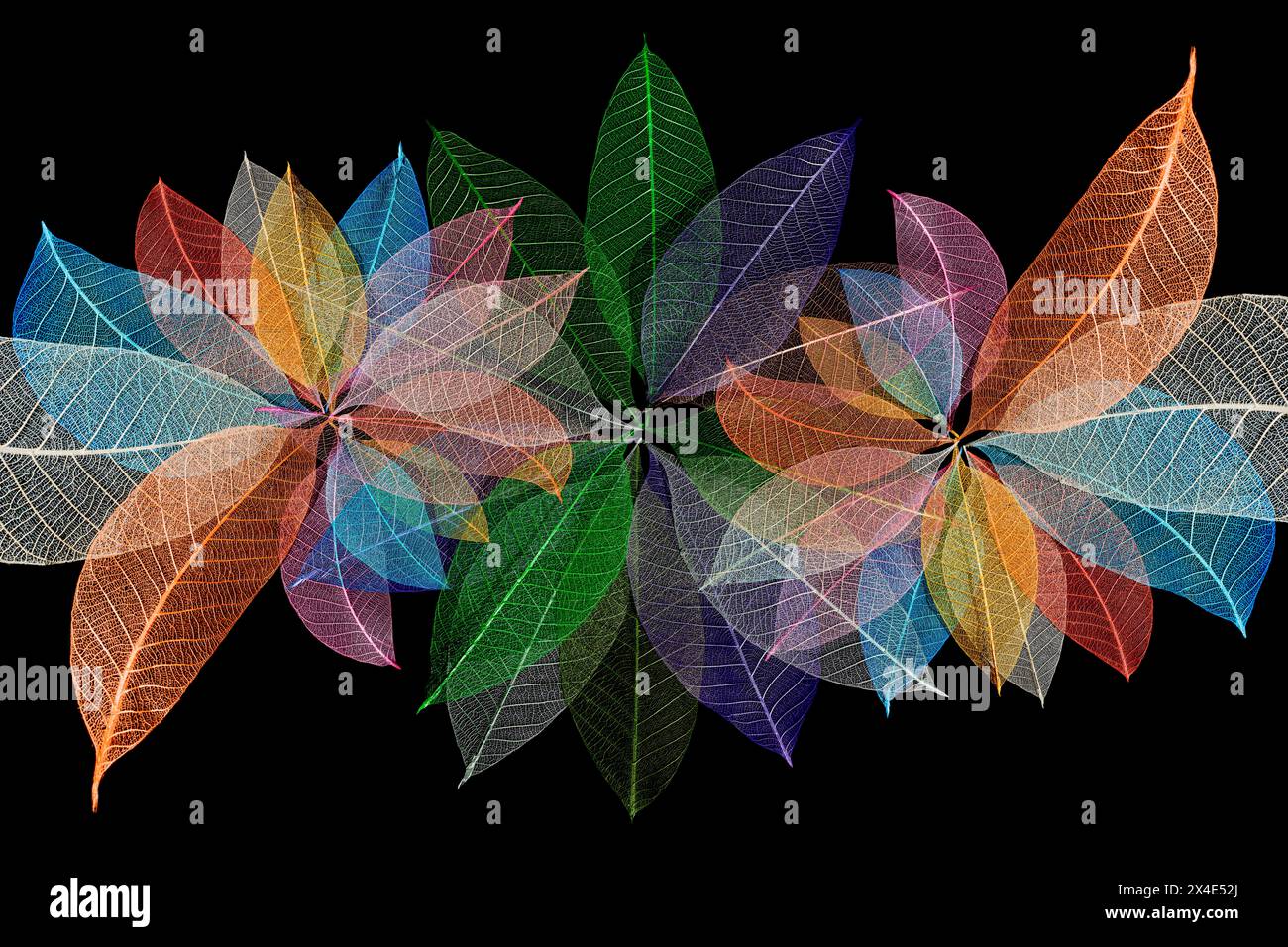 Skeleton leaf pattern hi-res stock photography and images - Alamy