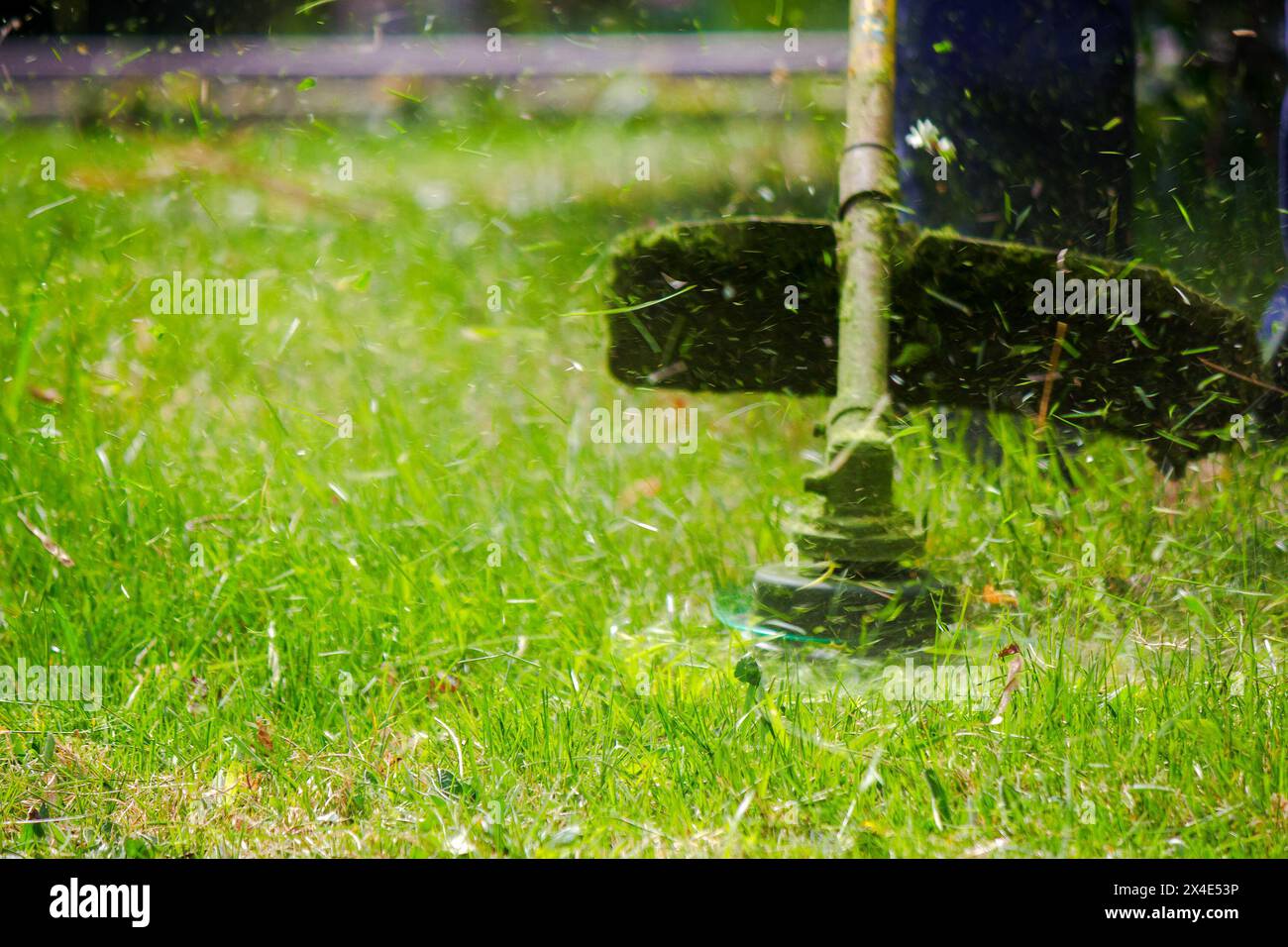 professional grass mowing in the park. closeup shot of gasoline brush ...