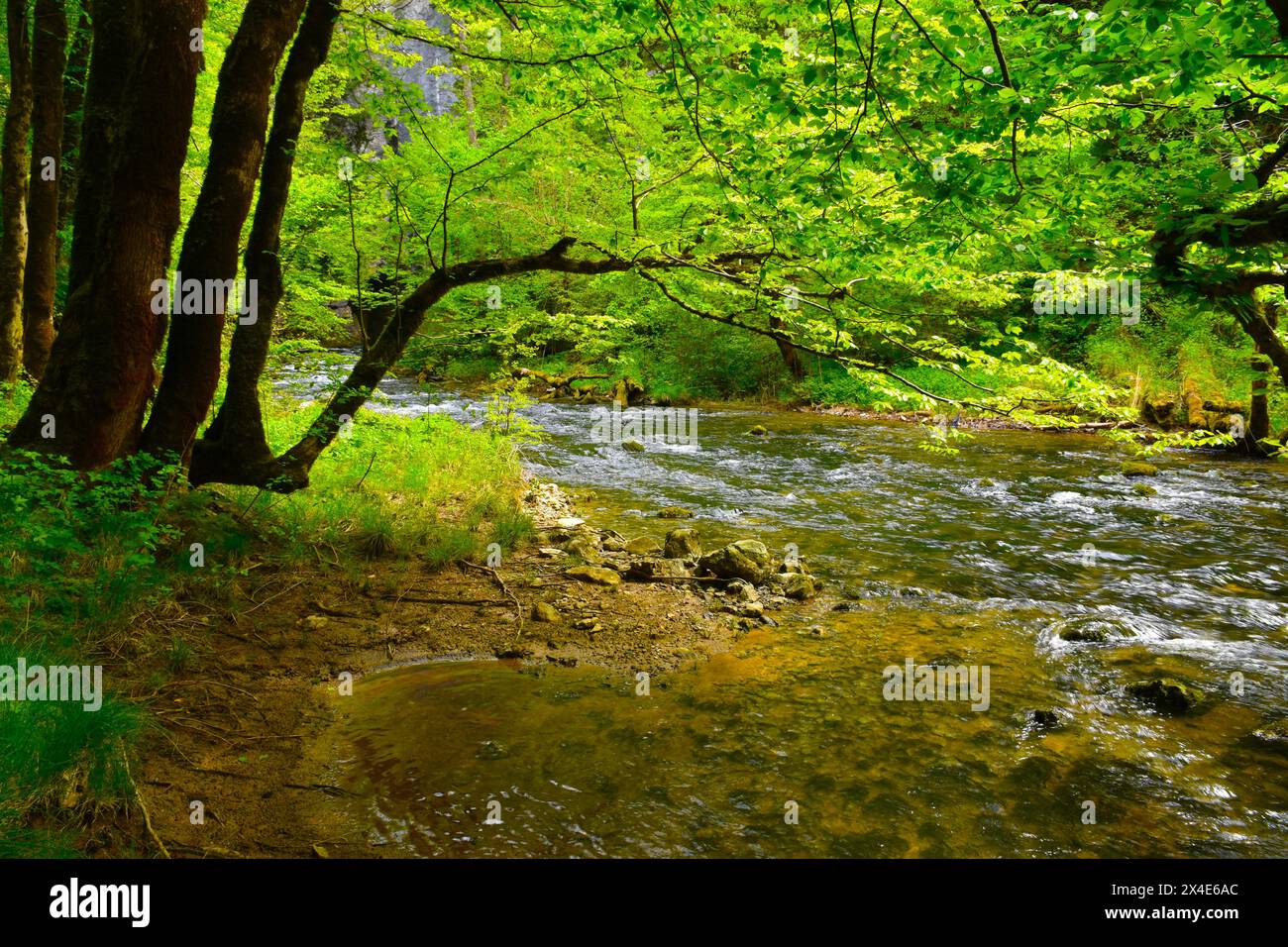 Beautiful rak river flowing hi-res stock photography and images - Alamy