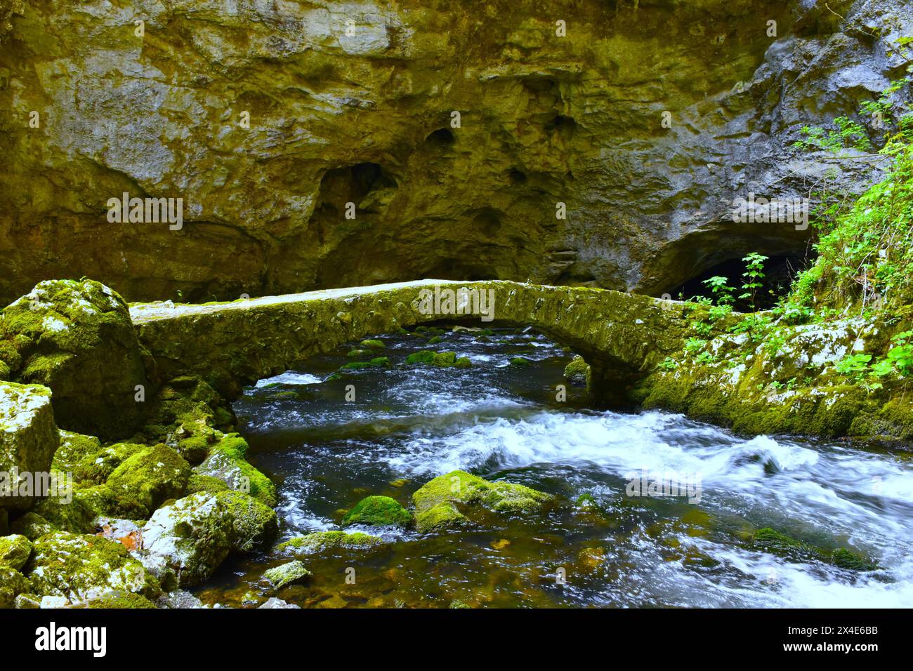 View of bridge across Rak stream at Zelške jame caves at Rakov Škocjan ...