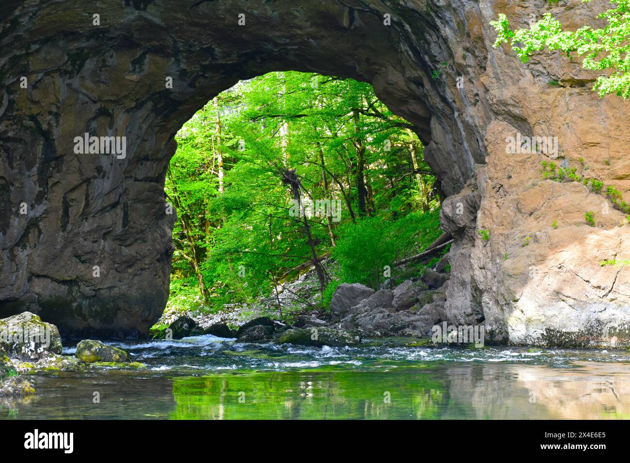 River Rak under big natural bridge at Rakov Škocjan, Notranjska ...