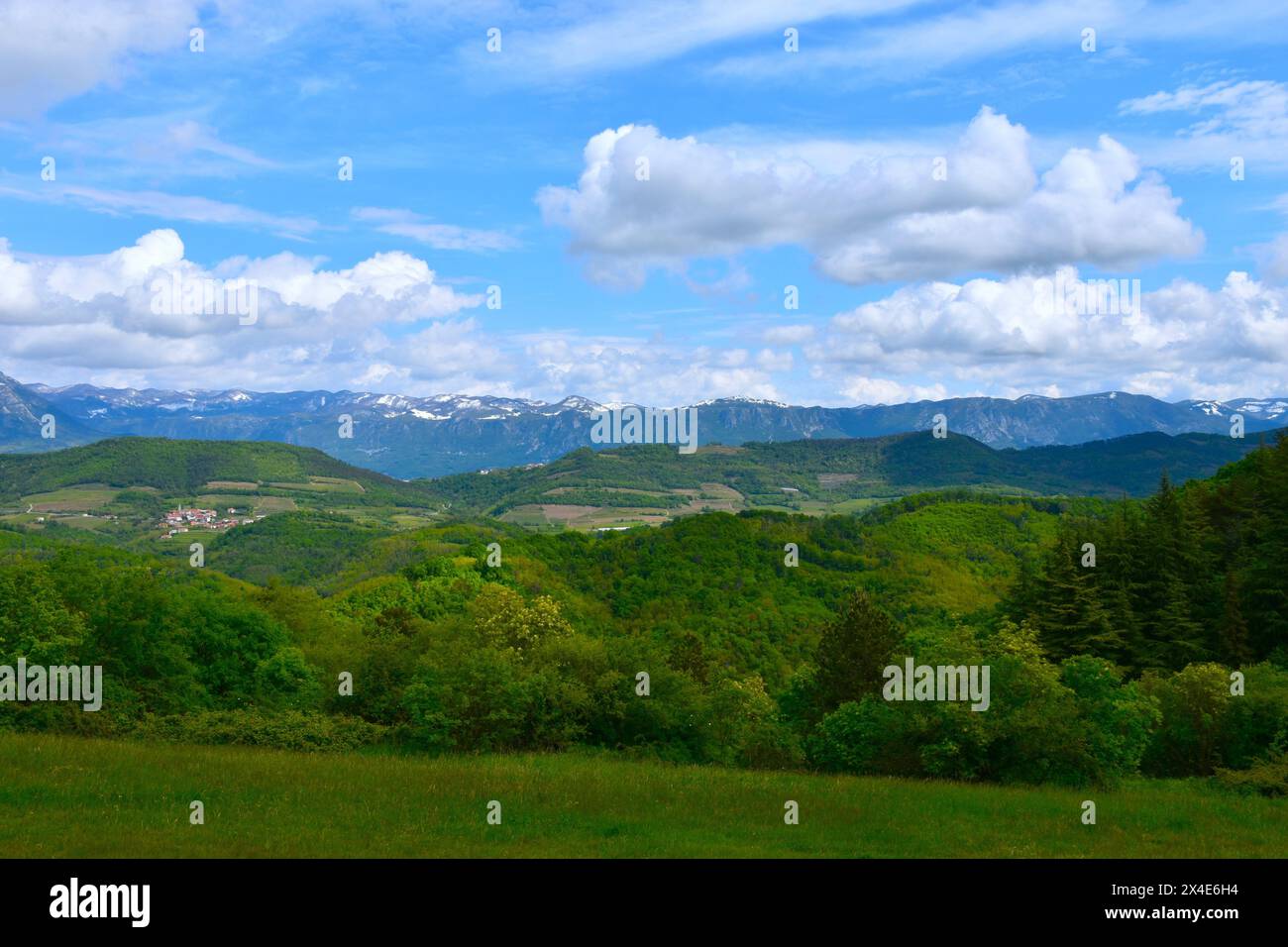 View of Trnovo forest plateau from Kras in Slovenia in summer Stock ...