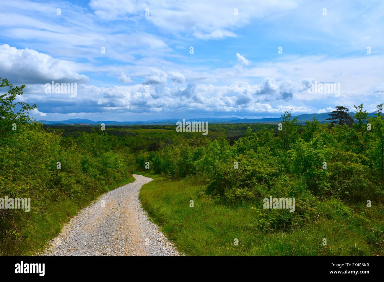 Gravel road leading downhill with Kras plateau in the background with ...
