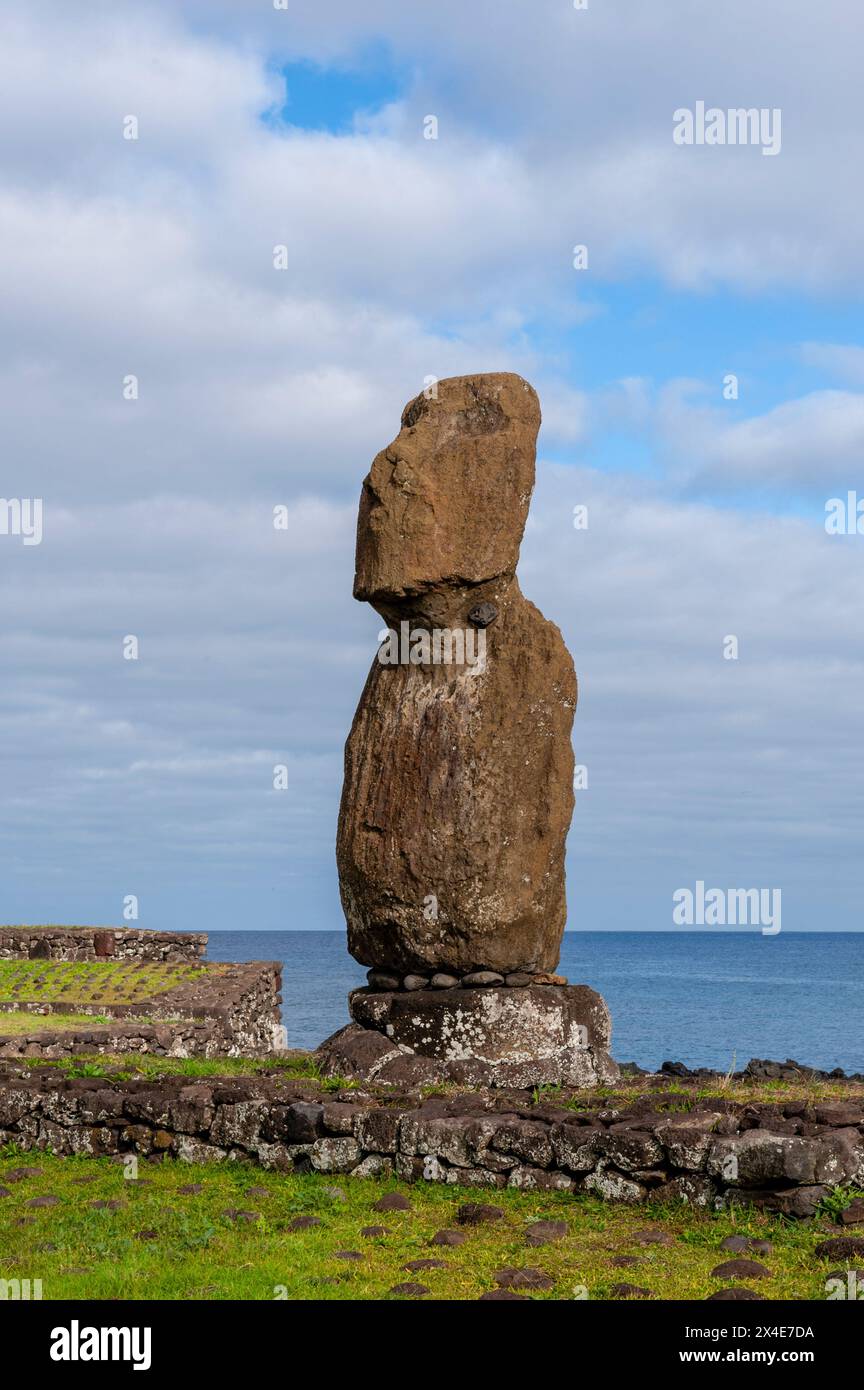 The Ahu Tahai Moai statue stands in Tahat Archaeological complex. Rapa ...
