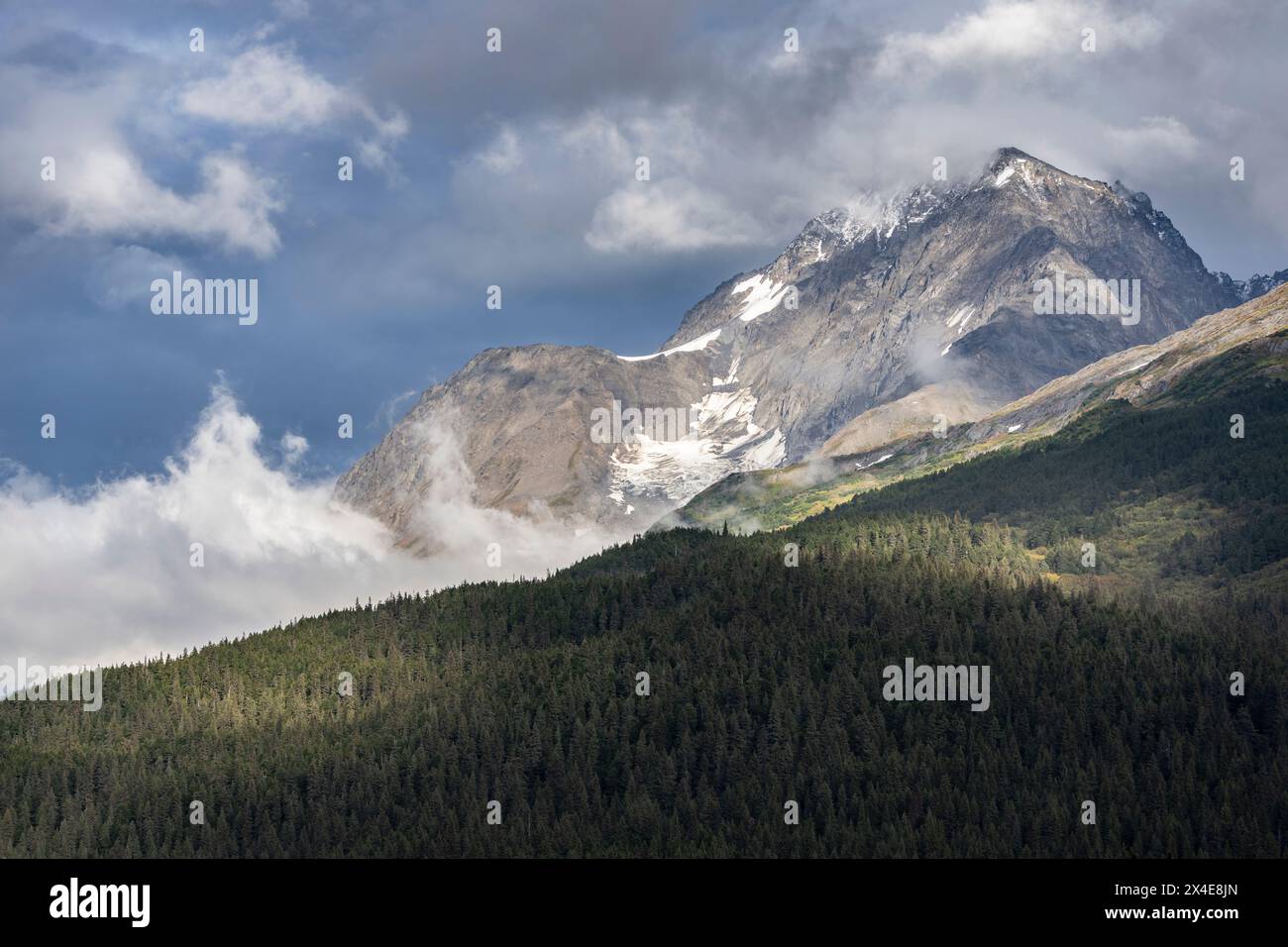 USA, Alaska, Chugach National Forest. Mountain and forest landscape ...