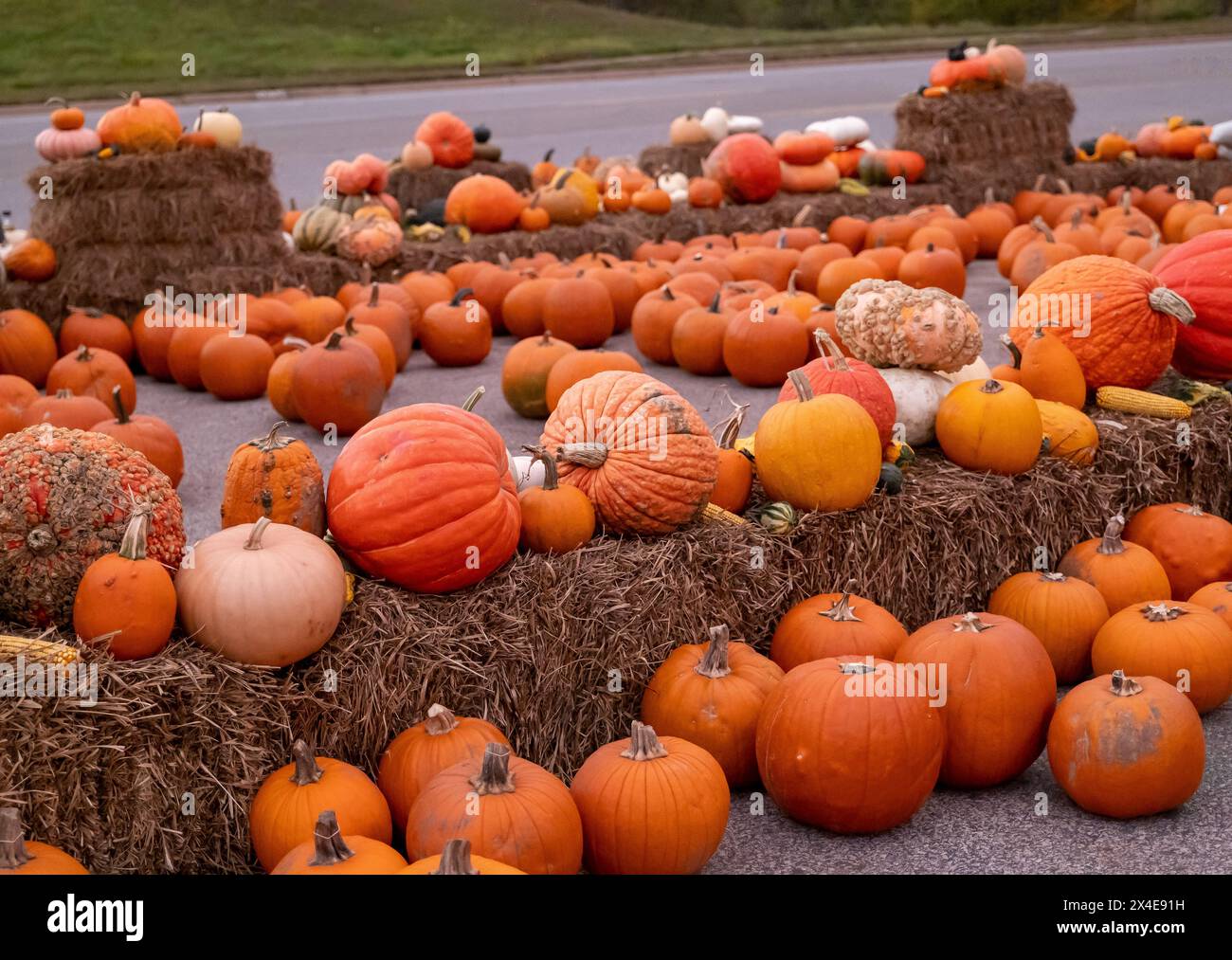 Pumpkins and gourds for sale on hay bale display at a roadside farmer ...