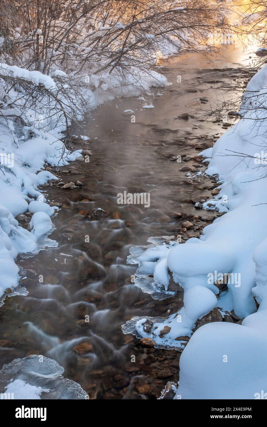 USA, Alaska, Chena Hot Springs Resort. Scenic with ice and snow on ...