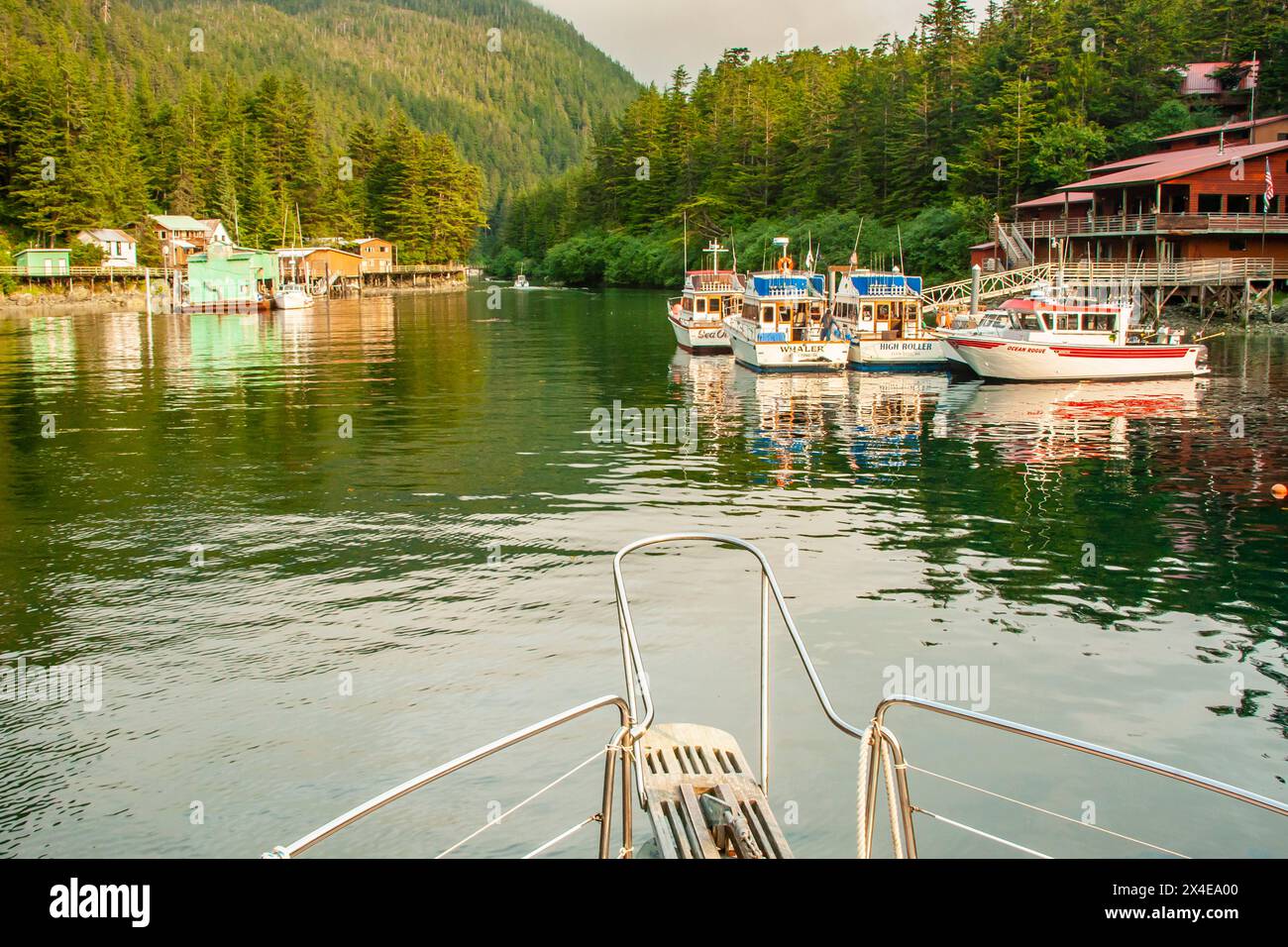 USA, Alaska, Tongass National Forest. Boat bow entering Elfin Cove ...