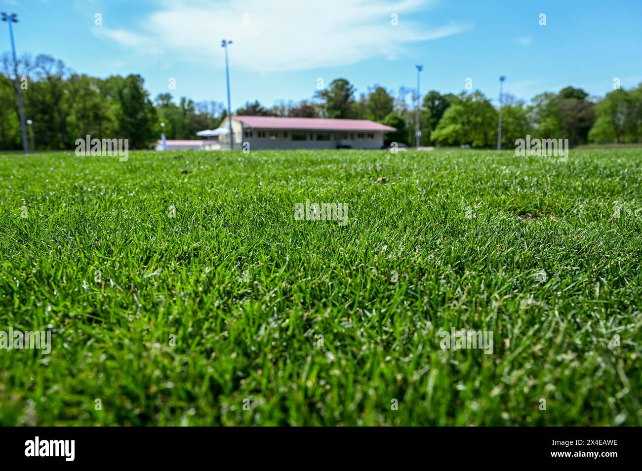 Neuruppin, Germany. 30th Apr, 2024. Freshly laid turf to UEFA EURO 2024 ...
