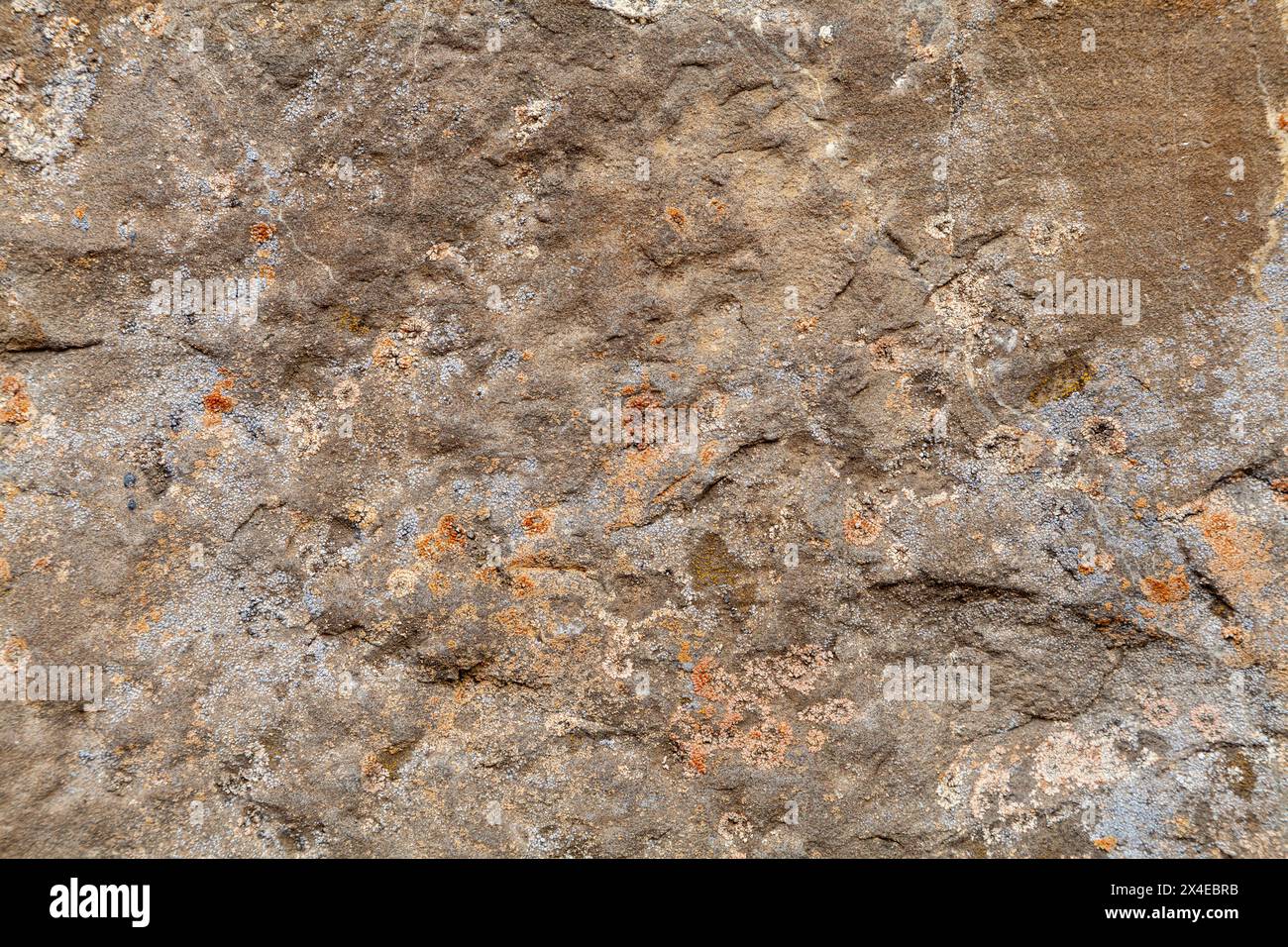 Rough textures hi-res stock photography and images - Alamy
