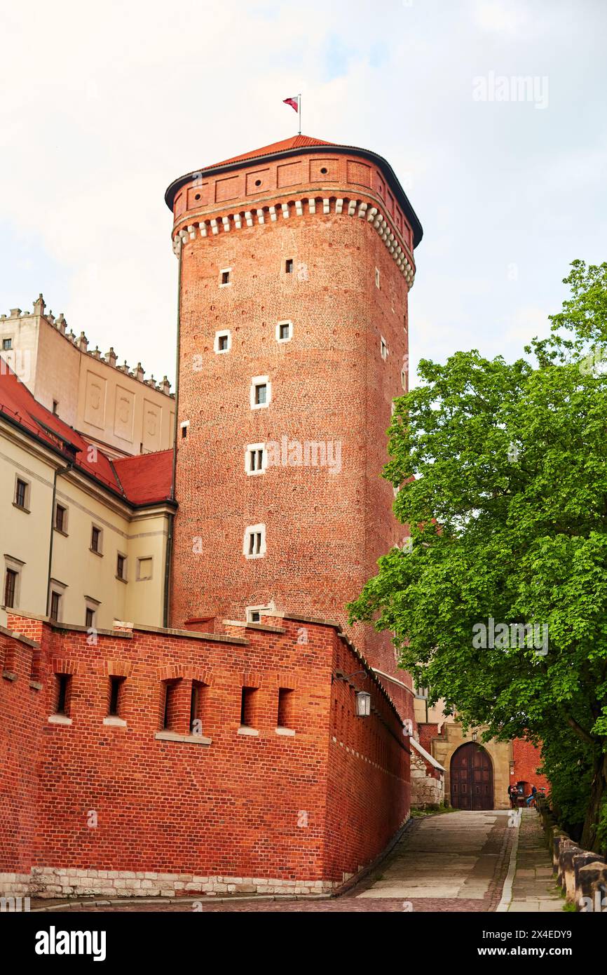 The old red brick Zamek Krolewski na Wawelu castle in the center of ...