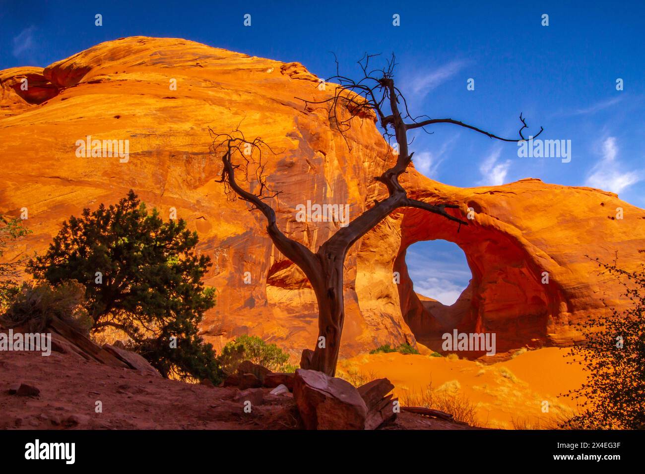 USA, Arizona, Monument Valley Navajo Tribal Park. Ear of the Wind arch ...