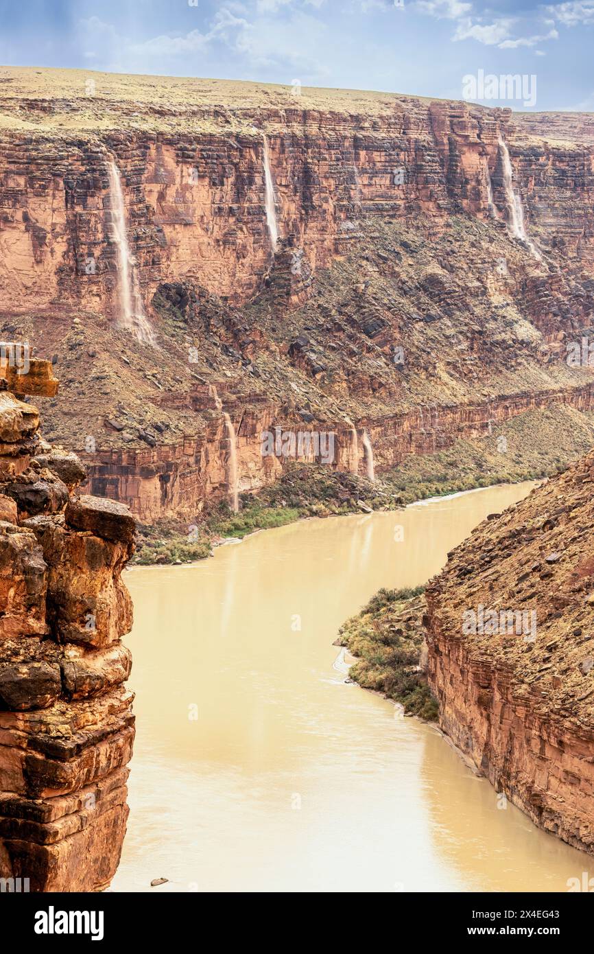 USA, Arizona, Grand Canyon National Park. Colorado River flows through ...