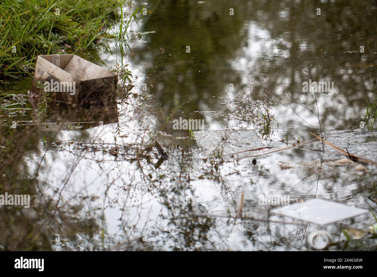 Polluted Stream of Water in Florida Stock Photo - Alamy