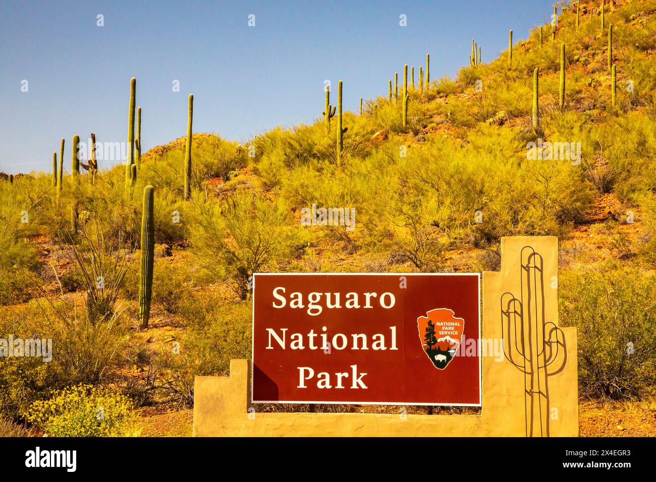 USA, Arizona, Saguaro National Park. Park entrance sign and saguaro ...