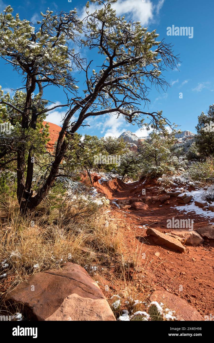 Trail through red rocks hi-res stock photography and images - Alamy