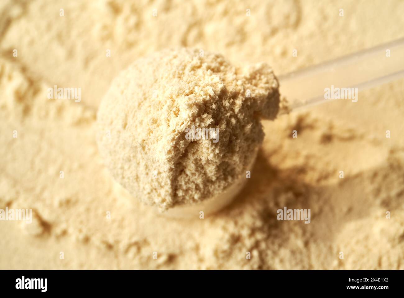 Whey protein powder in a plastic measuring cup, close up. Healthy ...