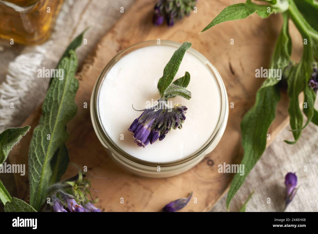 Homemade comfrey root ointment in a glass jar with fresh blooming ...