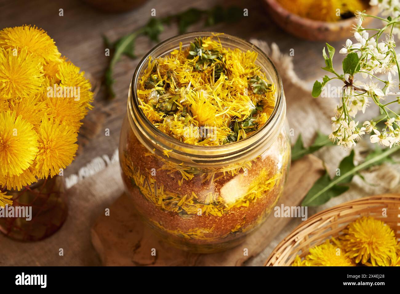 Preparation of dandelion syrup from fresh flowers and cane sugar in a ...