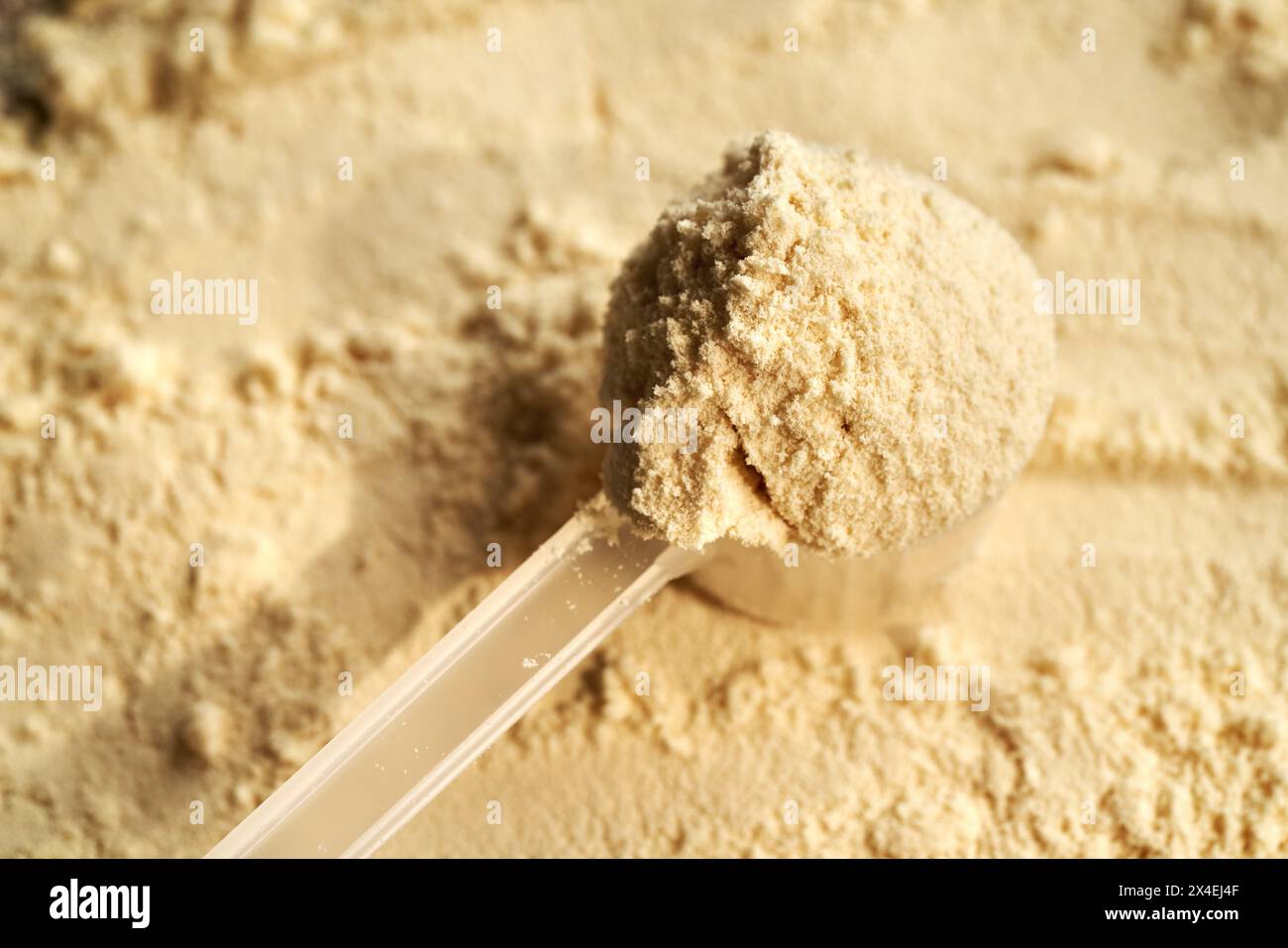 Whey protein powder in a plastic measuring cup Stock Photo - Alamy
