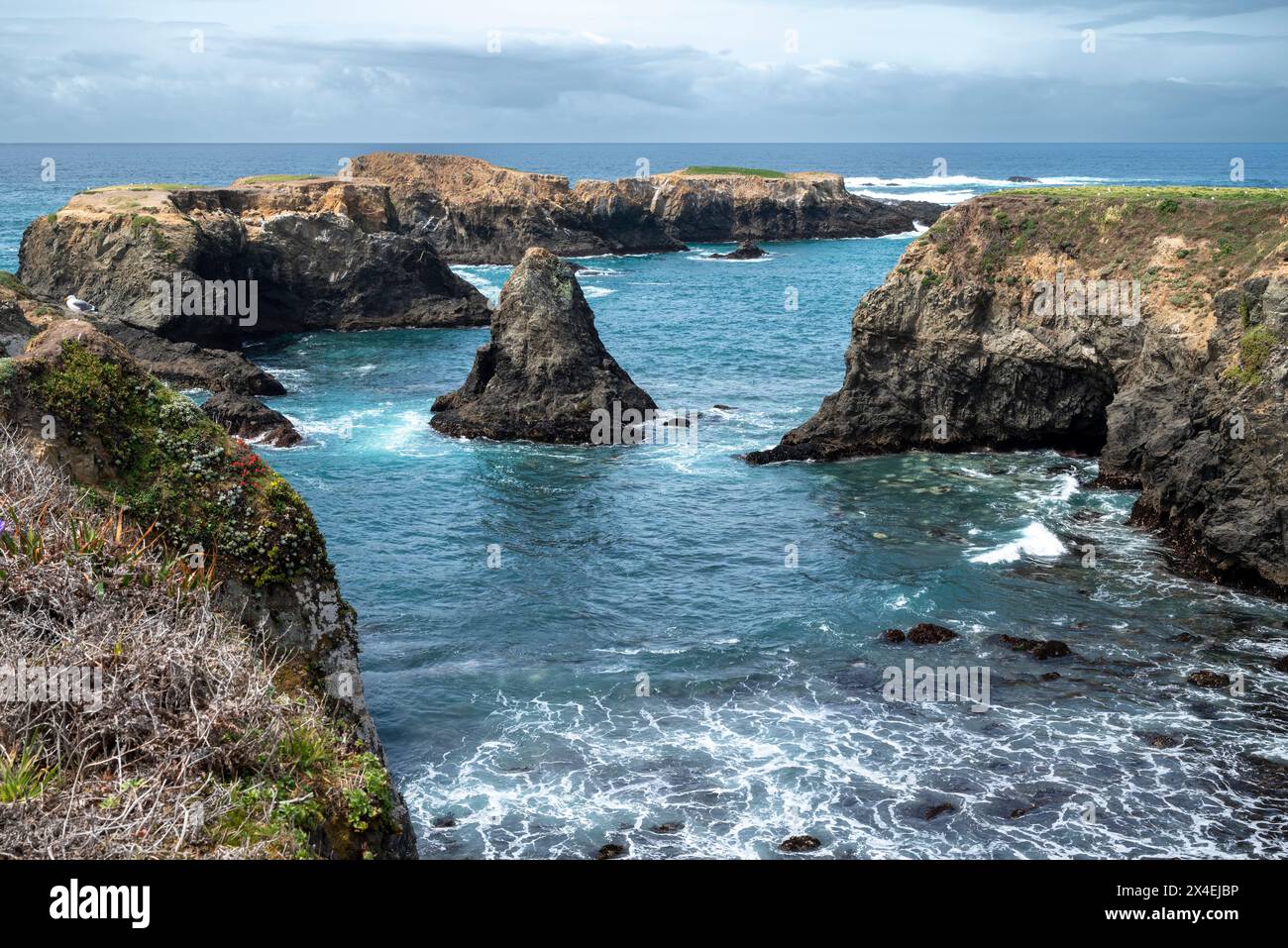 USA, California. Pacific Ocean, cliffs edge in Mendocino Headlands State Park Stock Photo - Alamy