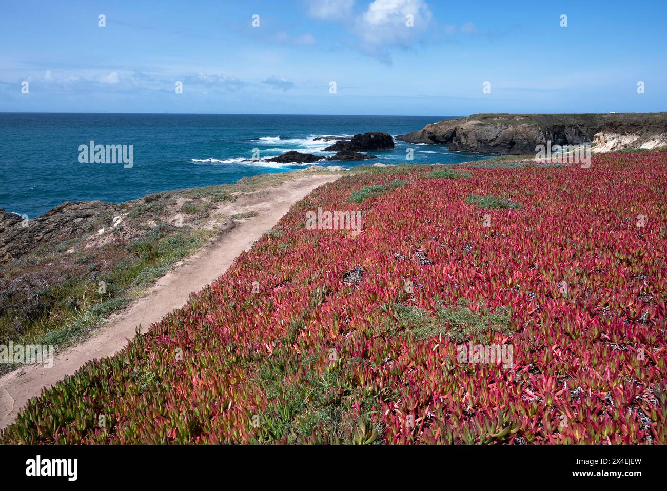 Ocean path mendocino hi-res stock photography and images - Alamy