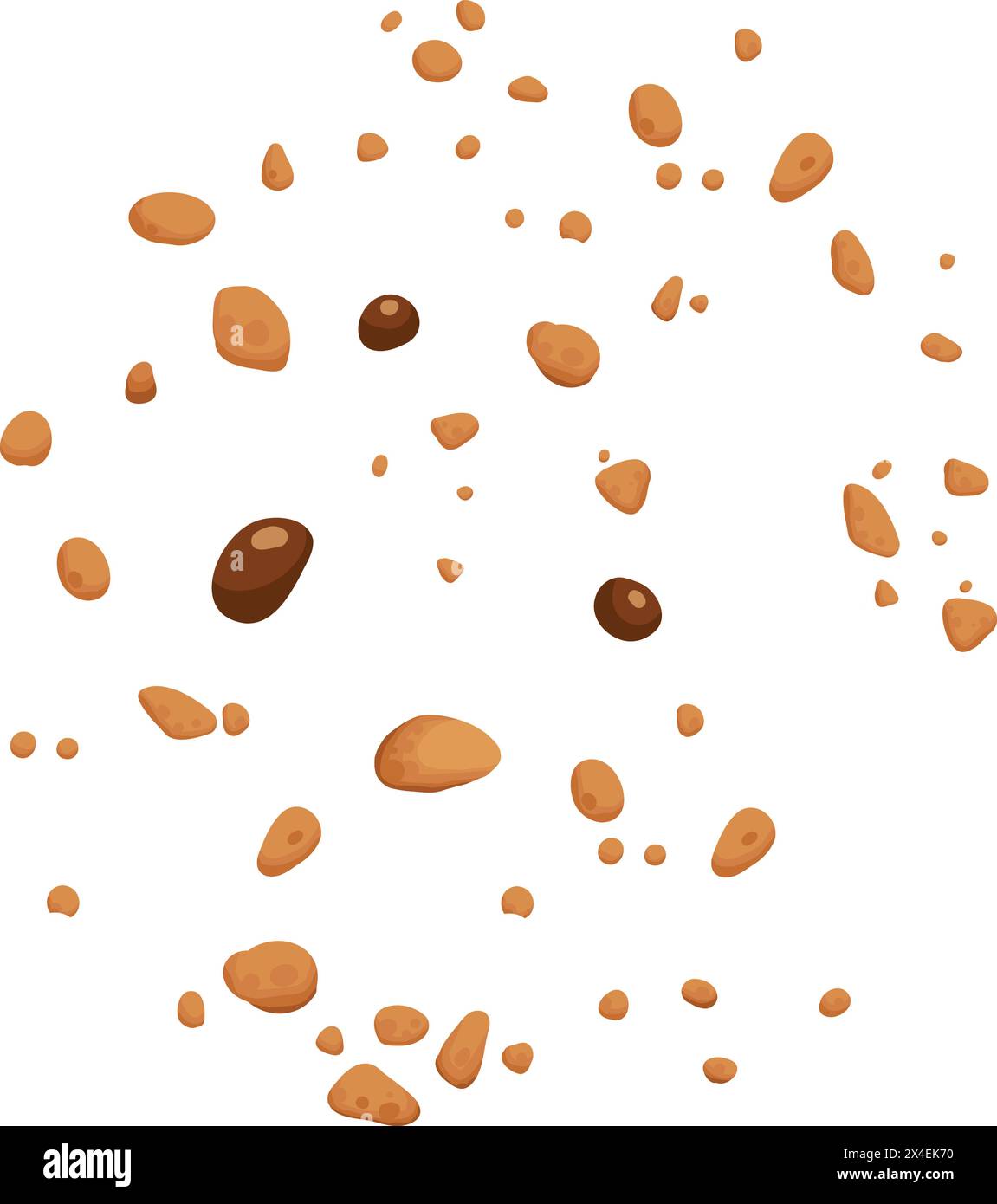 Bitten chocolate chip cookie. Crunch homemade brown biscuit broken with ...