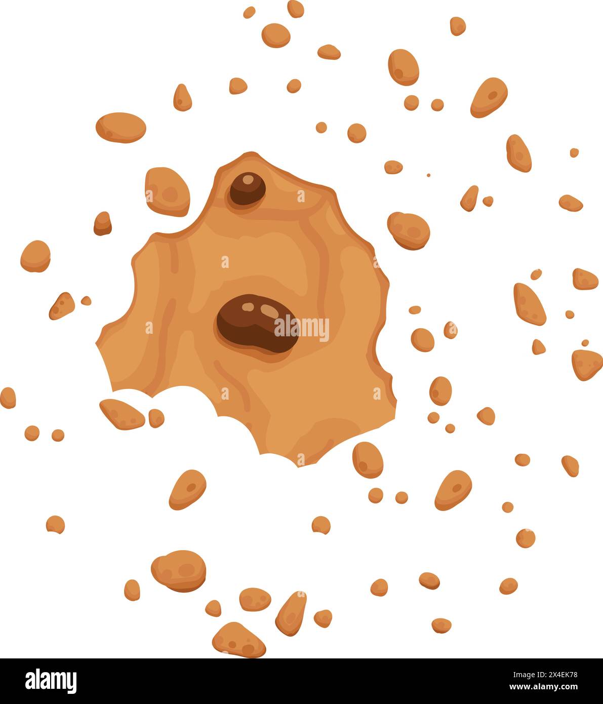 Bitten chocolate chip cookie. Crunch homemade brown biscuit broken with ...