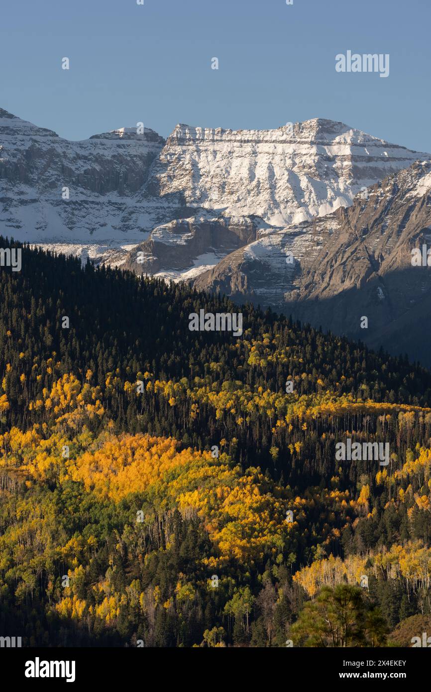 USA, Colorado, Uncompahgre National Forest. Landscape with Sneffels ...