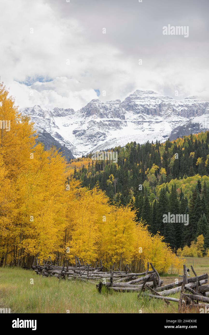 USA, Colorado, San Juan Mountains. Forest and mountain landscape with ...