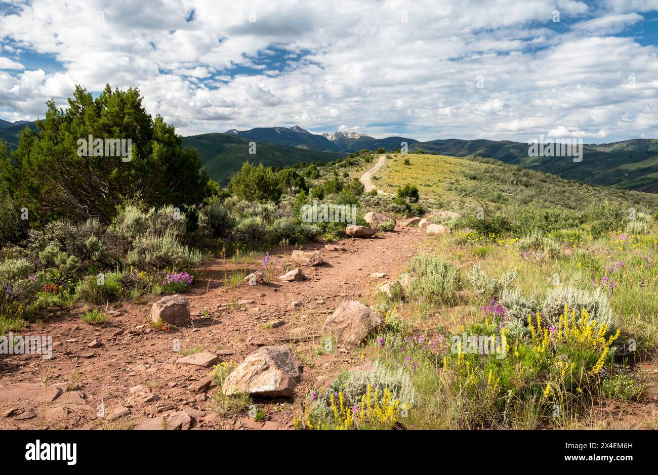USA, Colorado. Hiking path in Edwards Stock Photo - Alamy