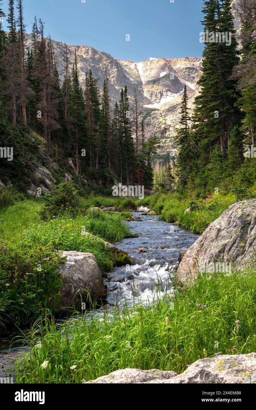 USA, Colorado. Rocky Mountain National Park, Thompson River Stock Photo ...