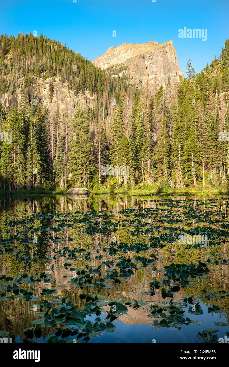 Park of the nymph hi-res stock photography and images - Alamy