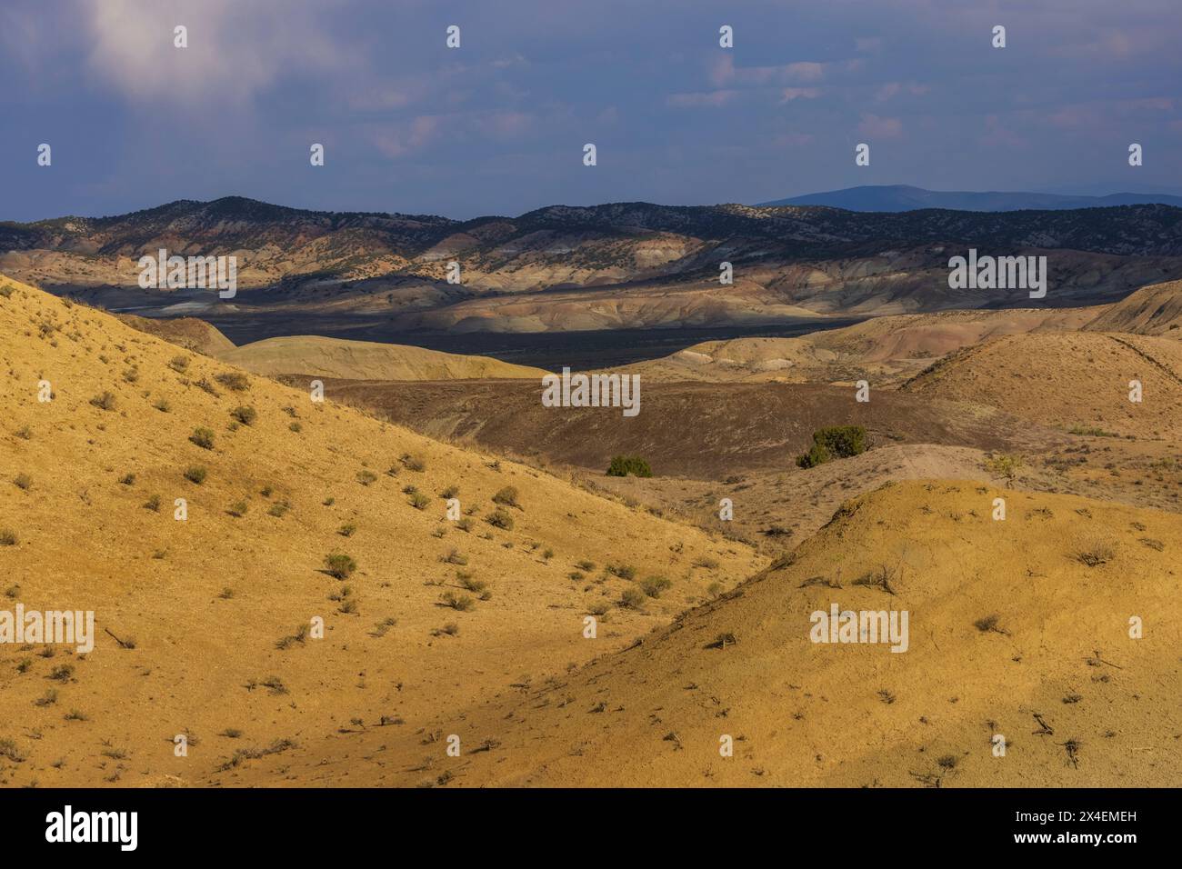 Sand Wash Basin, Colorado Stock Photo - Alamy