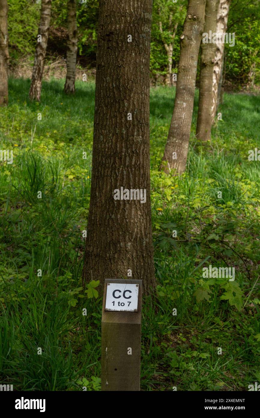 Dedicate a tree hi-res stock photography and images - Alamy