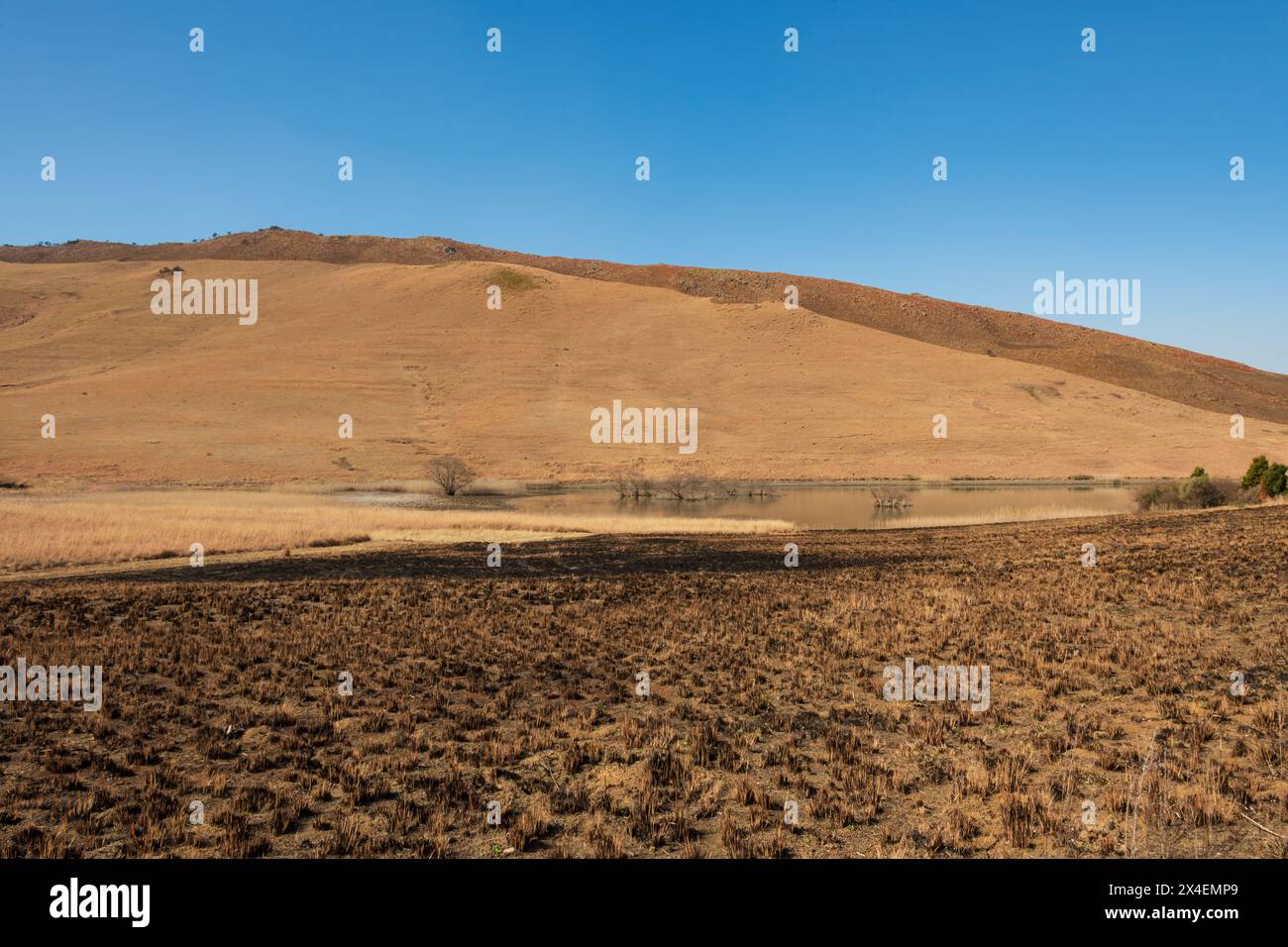 Mount currie nature reserve hi-res stock photography and images - Alamy