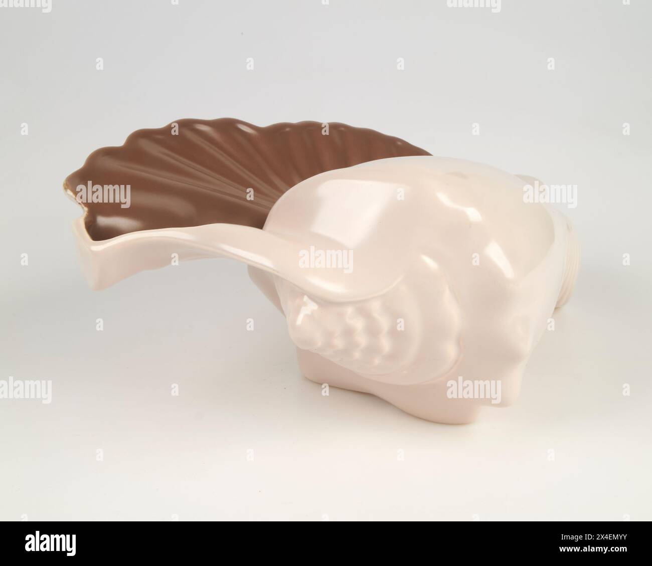 Large Poole Pottery Twintone Conch Shell 1930’s Designed by John Adams ...