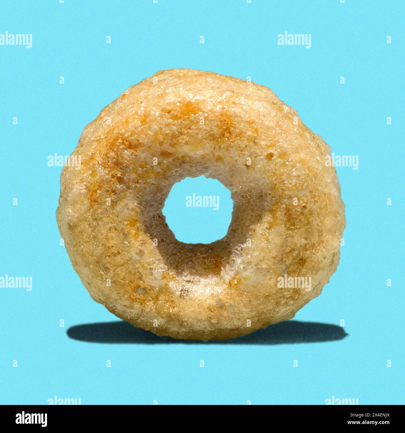 Macro close-up detail of single honey Cheerios cereal isolated on blue ...