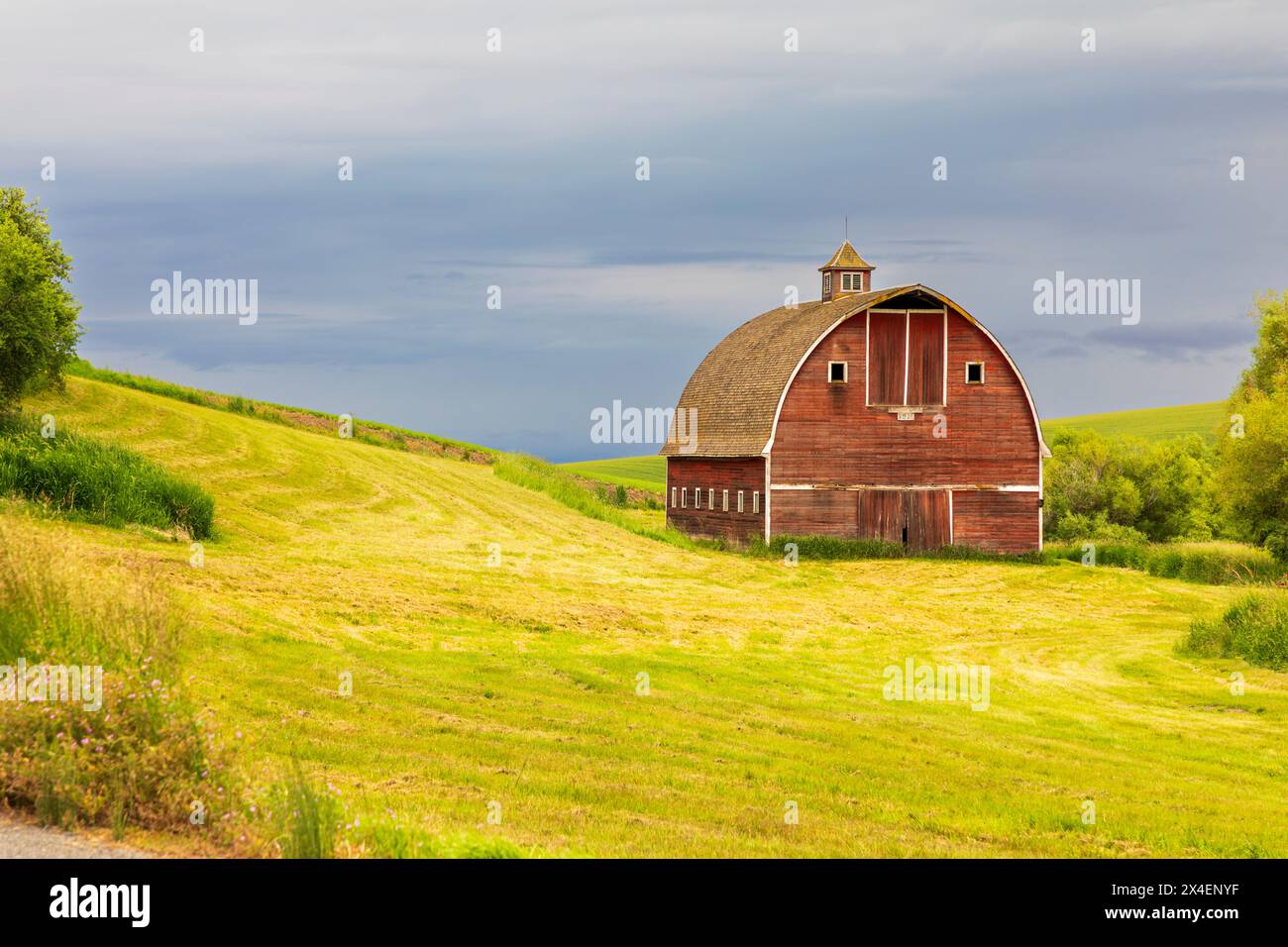 USA, Idaho, Genesee. Red Barn and green wheat fields. (Editorial Use ...