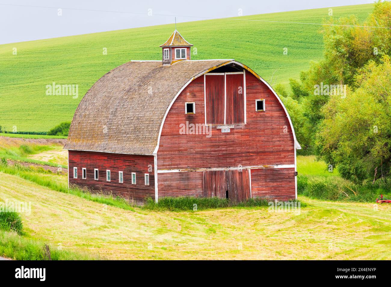 USA, Idaho, Genesee. Red Barn and green wheat fields. (Editorial Use ...