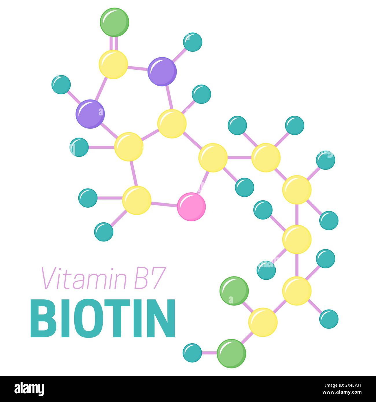 Vitamin b7 molecular model of biotin Stock Vector Images - Alamy