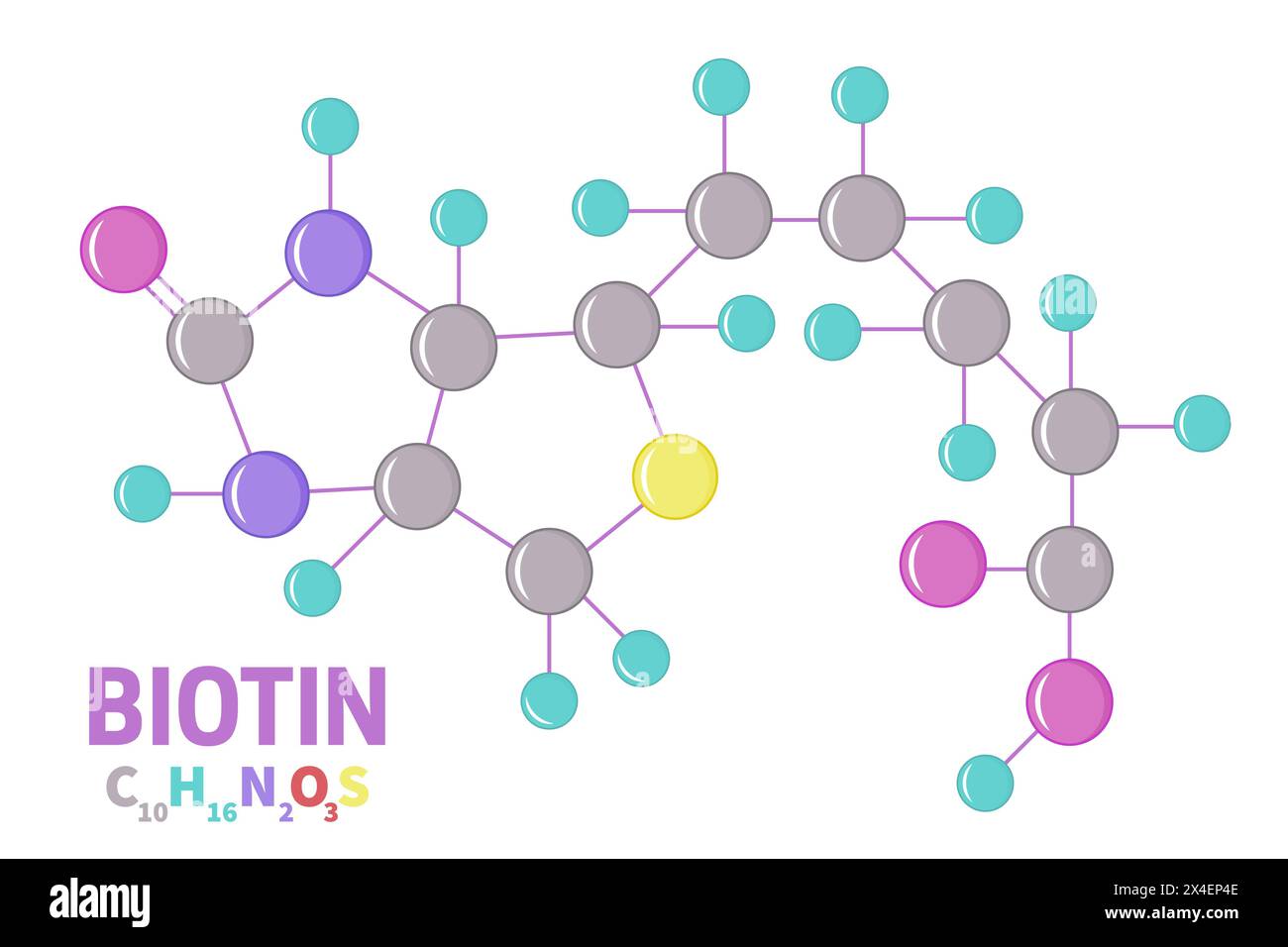 Biotin Vitamin B7 Molecule Illustration Stock Vector Image & Art - Alamy