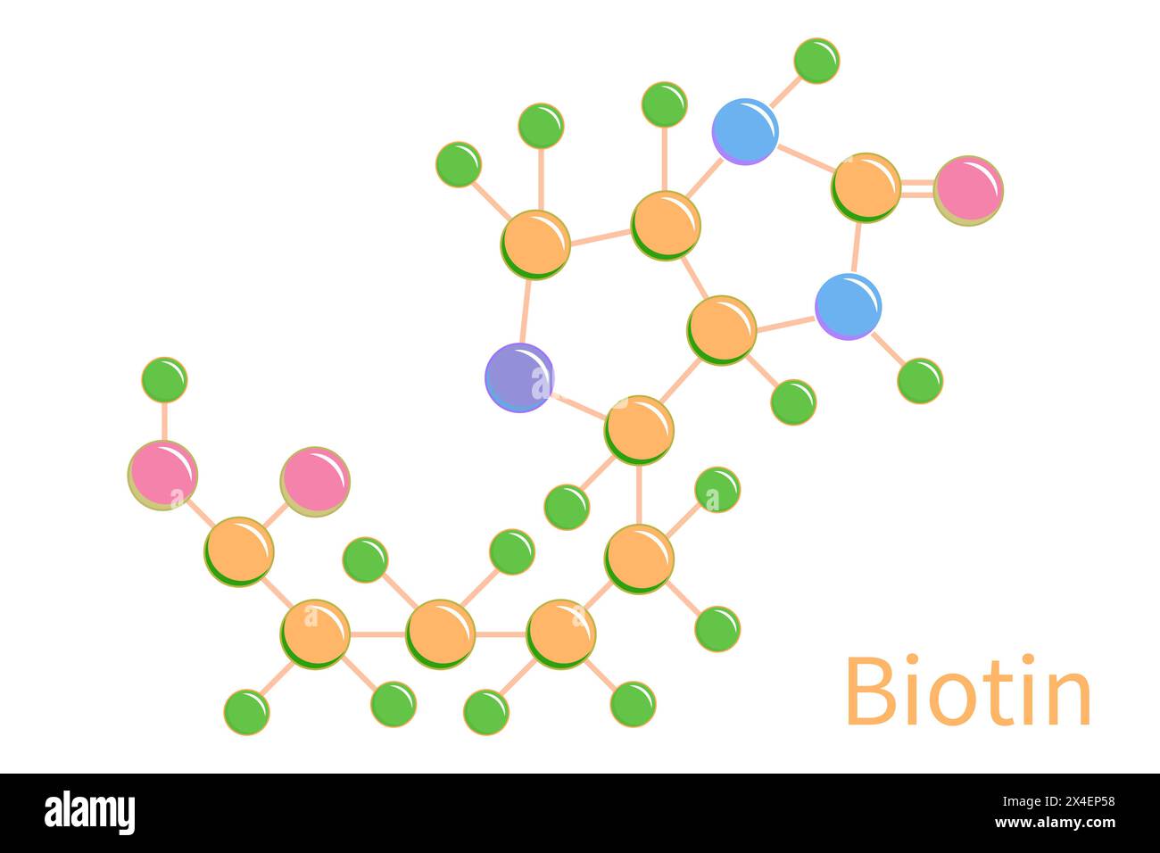 Biotin Vitamin B7 Molecules Structure Formula Illustration Stock Vector ...