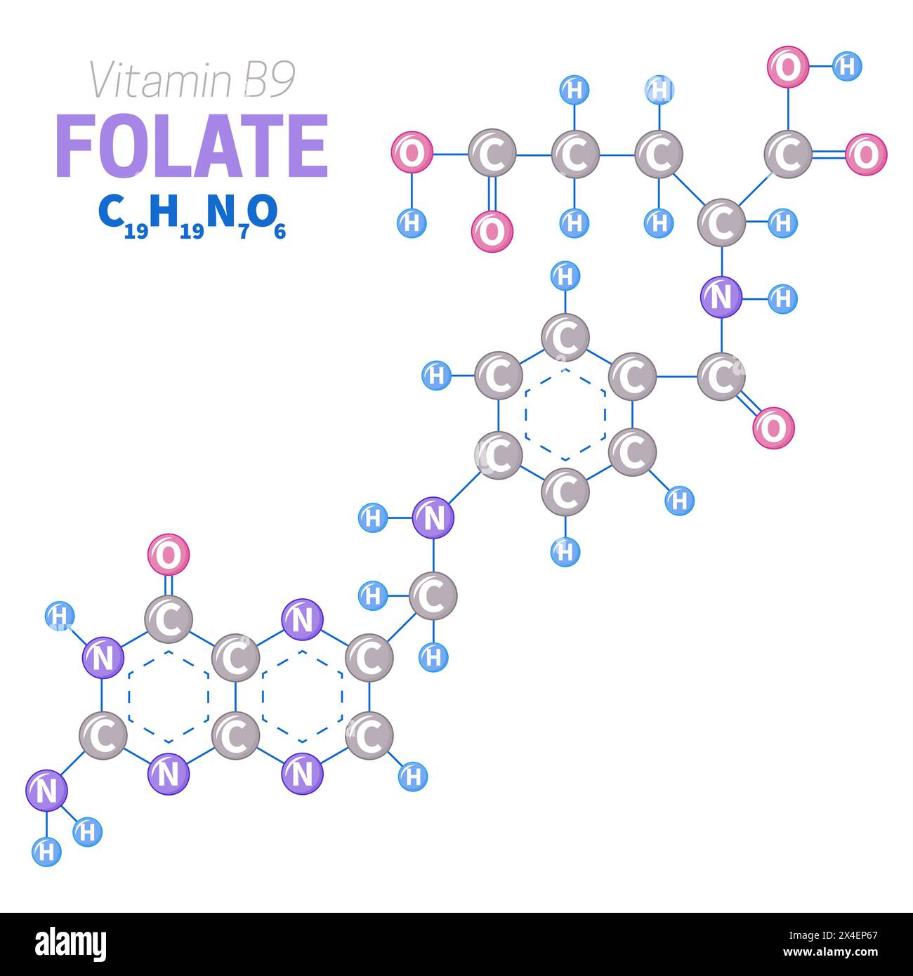 Folate or Vitamin B9 Molecule Structure Illustration Stock Vector Image ...