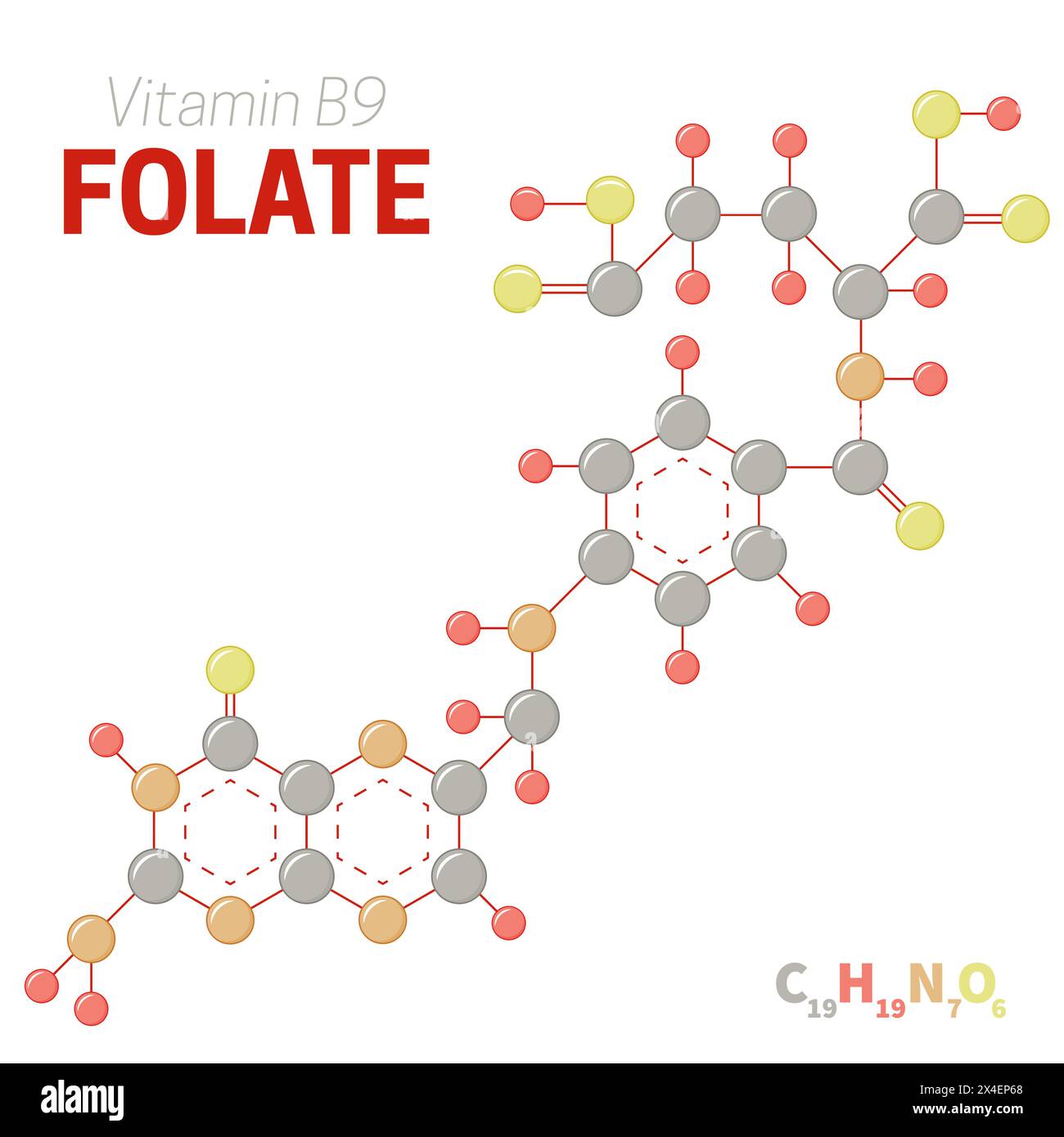 Folate or Vitamin B9 Molecule Structure Formula Illustration Stock ...