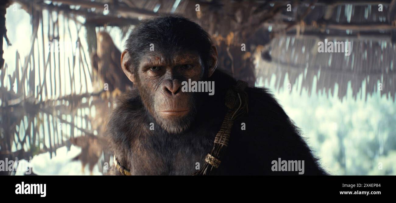 KINGDOM OF THE PLANET OF THE APES, Noa (voice: Owen Teague), 2024 ...